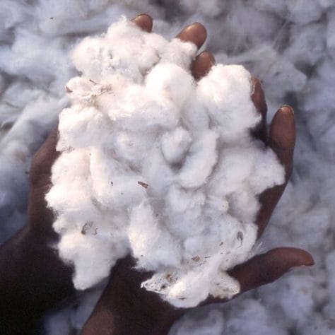 Le Coton, tout savoir sur cette matière - The Good Goods